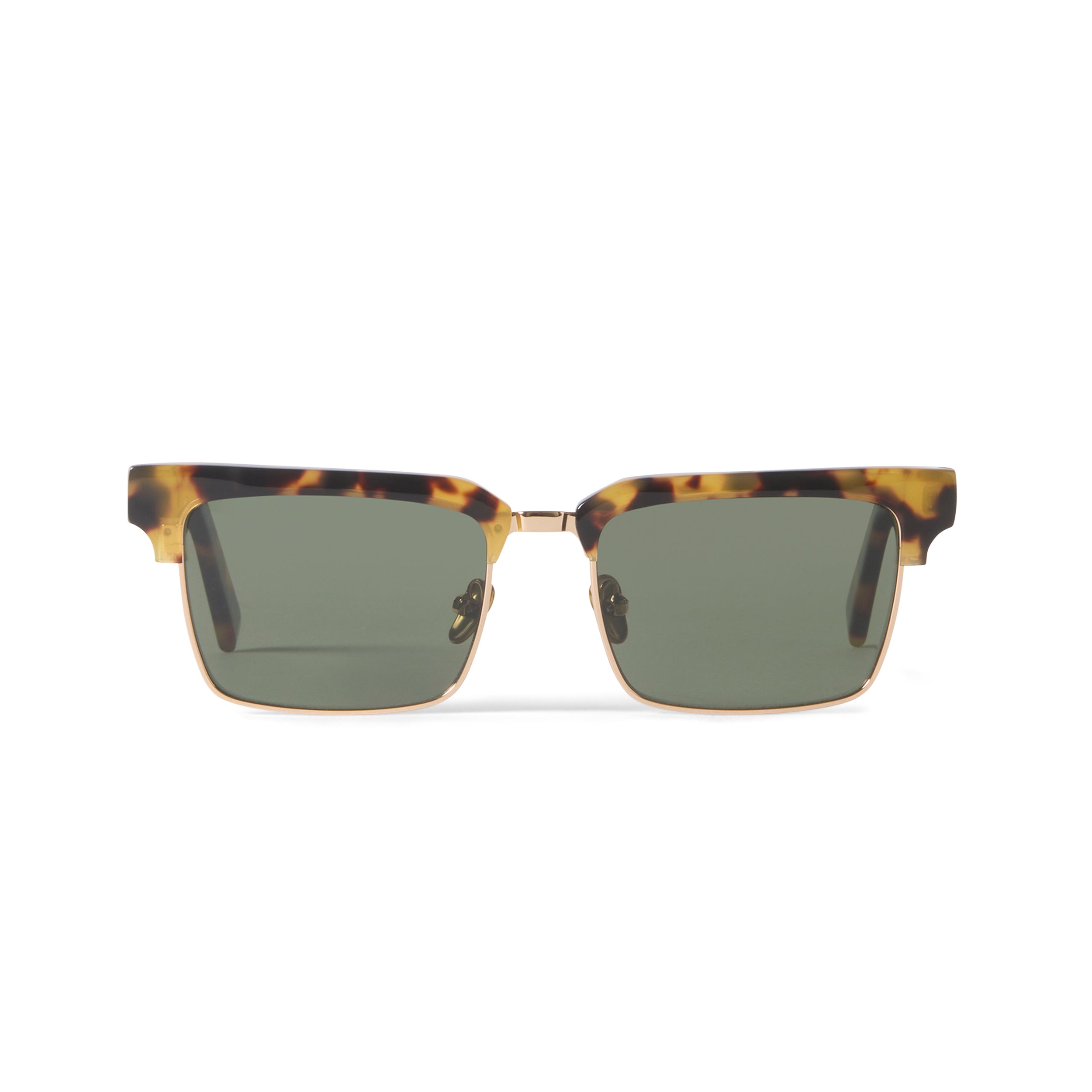 Paris Sun Tortoise & Gold Wayfarer Polarized Sunglasses Sunglasses ...